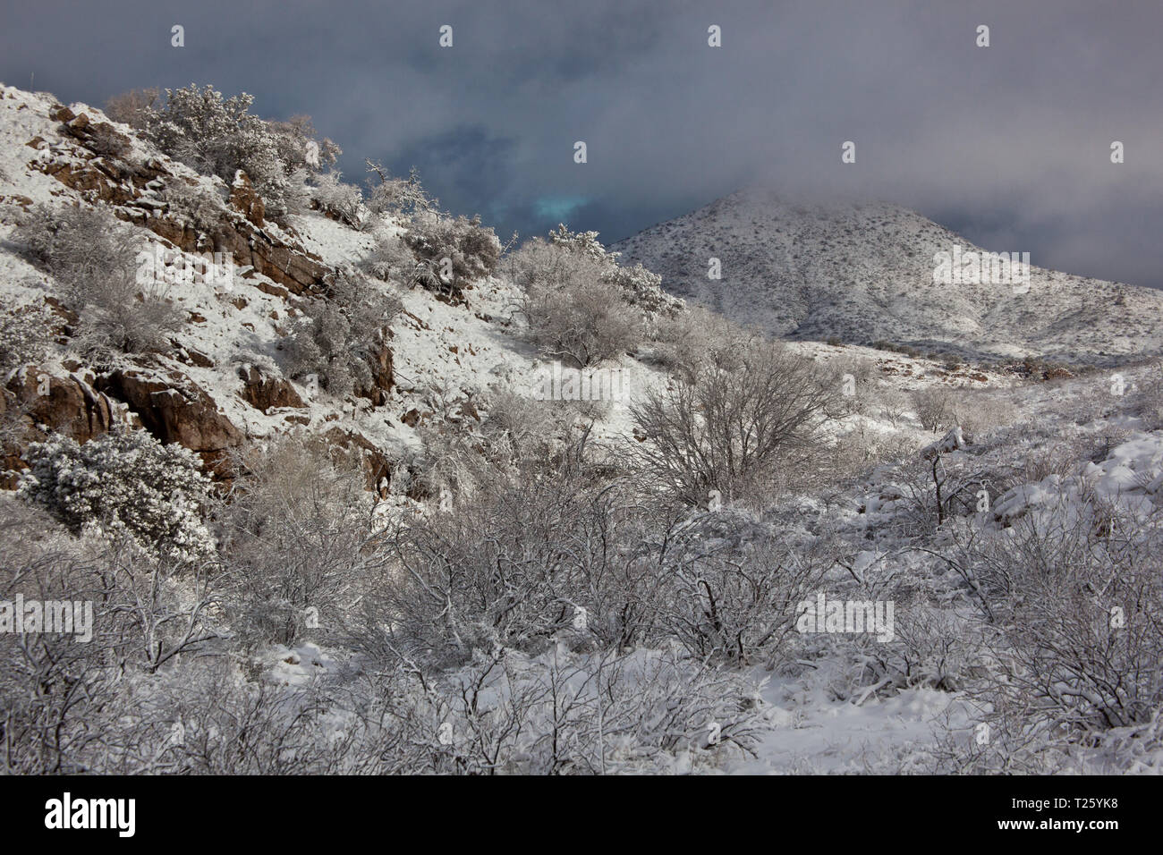 Redington Pass, Pima County, Arizona, USA Stock Photo - Alamy