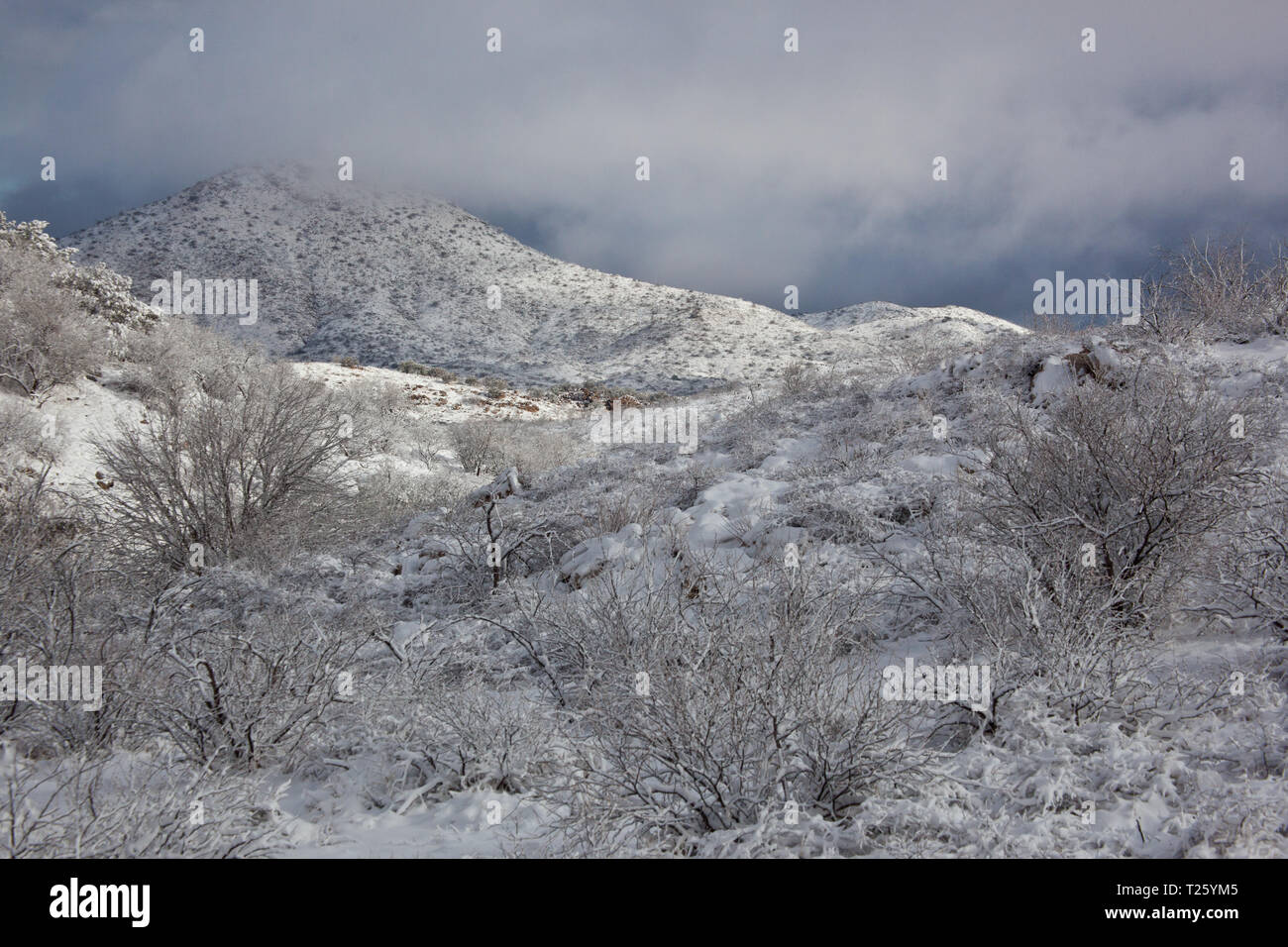 Redington Pass, Pima County, Arizona, USA Stock Photo - Alamy