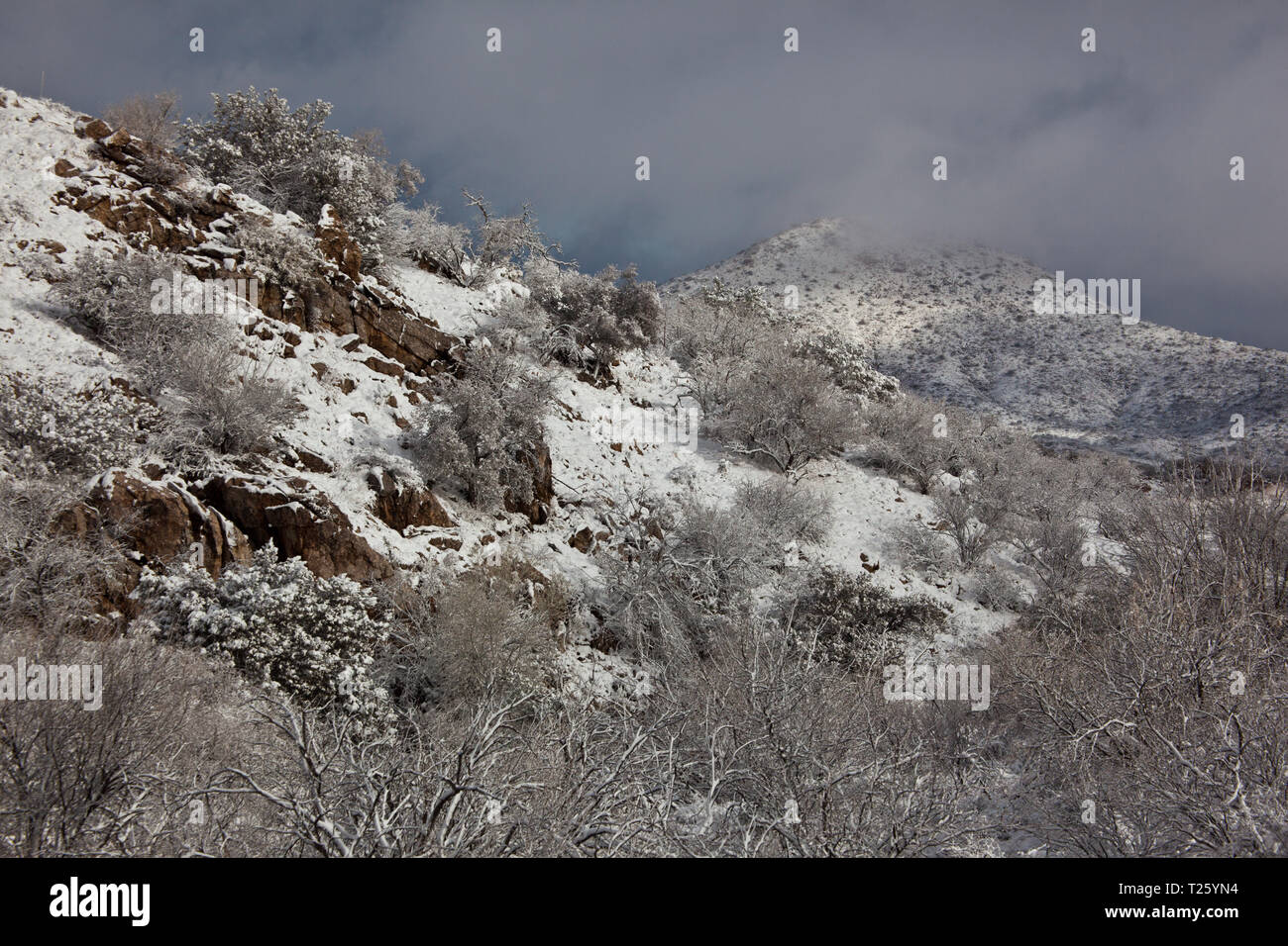 Redington Pass, Pima County, Arizona, USA Stock Photo - Alamy