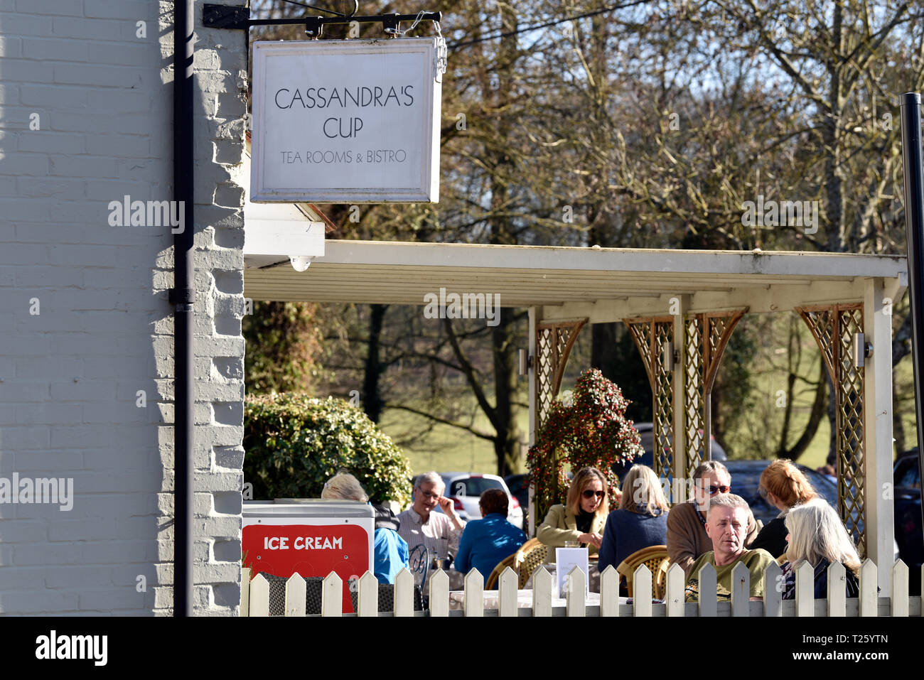 Cassandras tea chawton hi-res stock photography and images - Alamy
