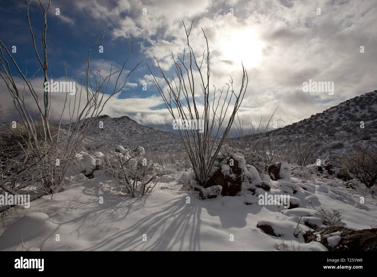 Redington Pass, Pima County, Arizona, USA Stock Photo - Alamy