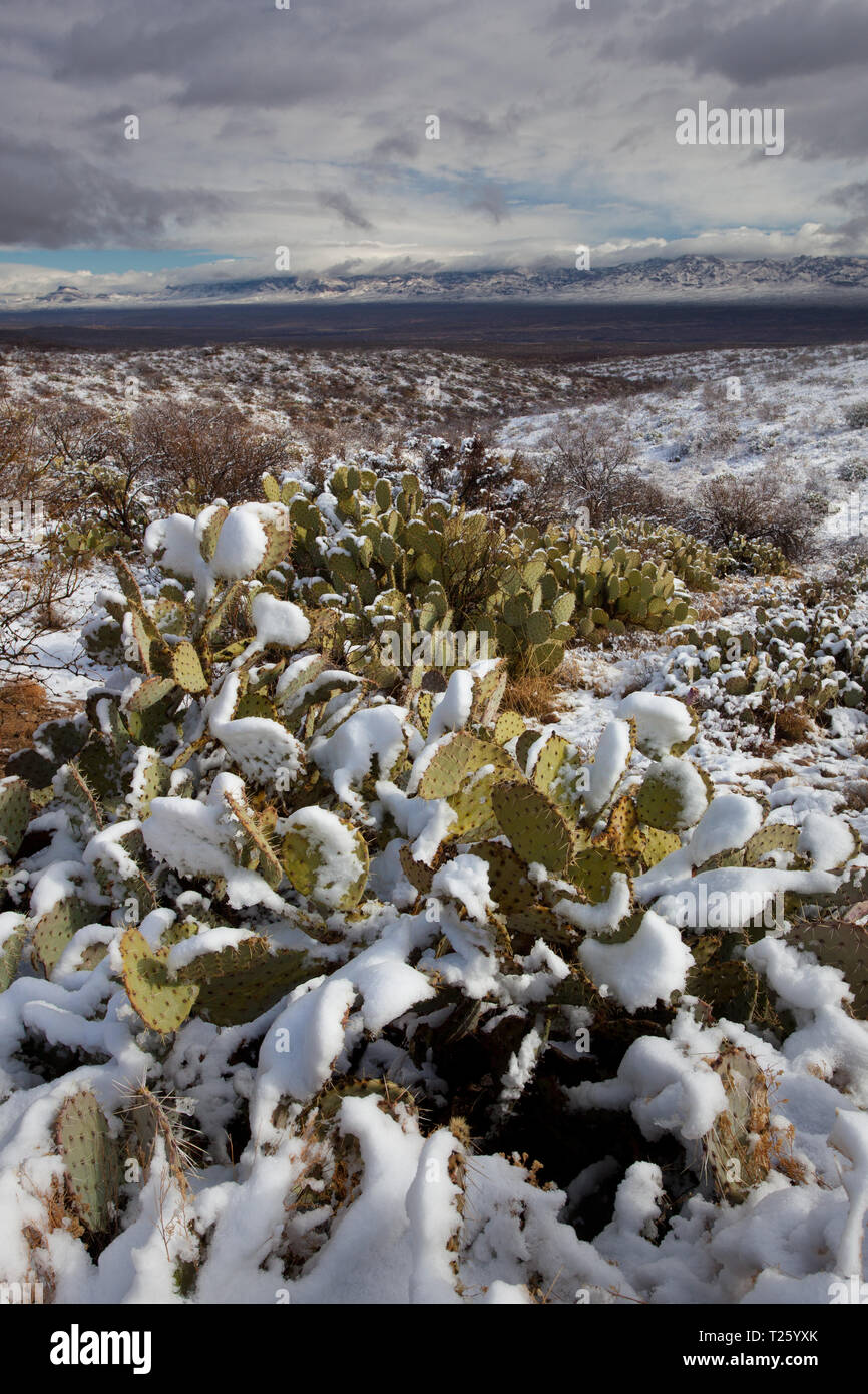 Redington pass hi-res stock photography and images - Alamy