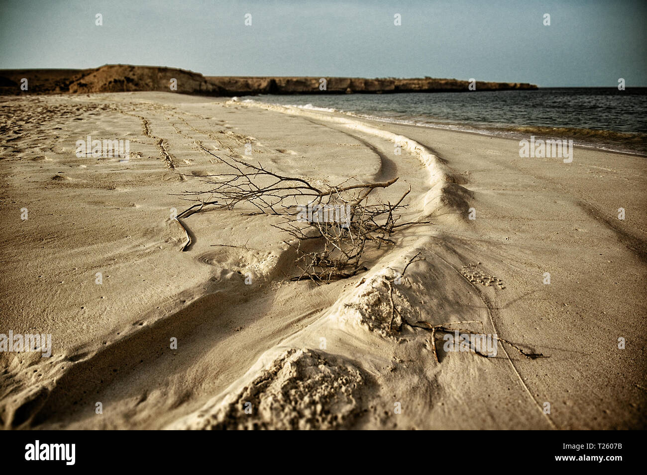 Trails in the sand Stock Photo - Alamy