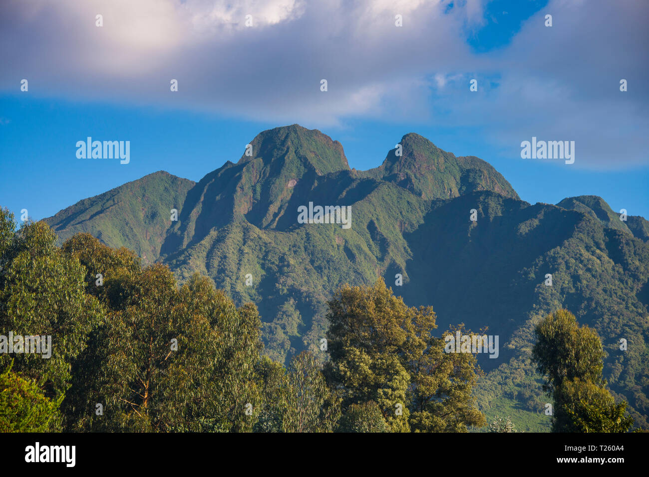 Rwanda, Virunga National Park, view to volcano Stock Photo - Alamy