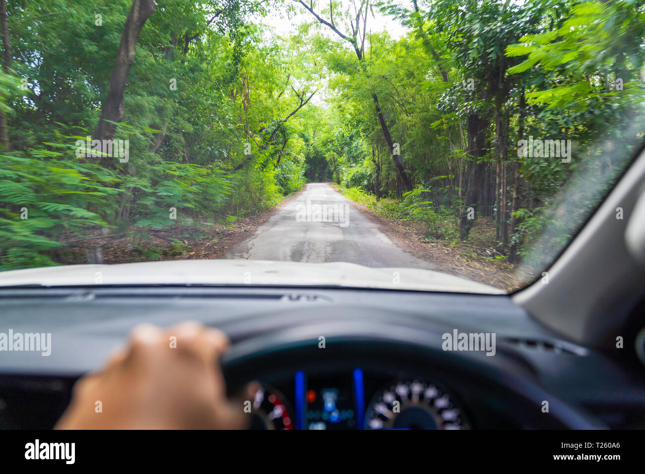 Driving at road in the forest. View from the driver angle while hand on ...