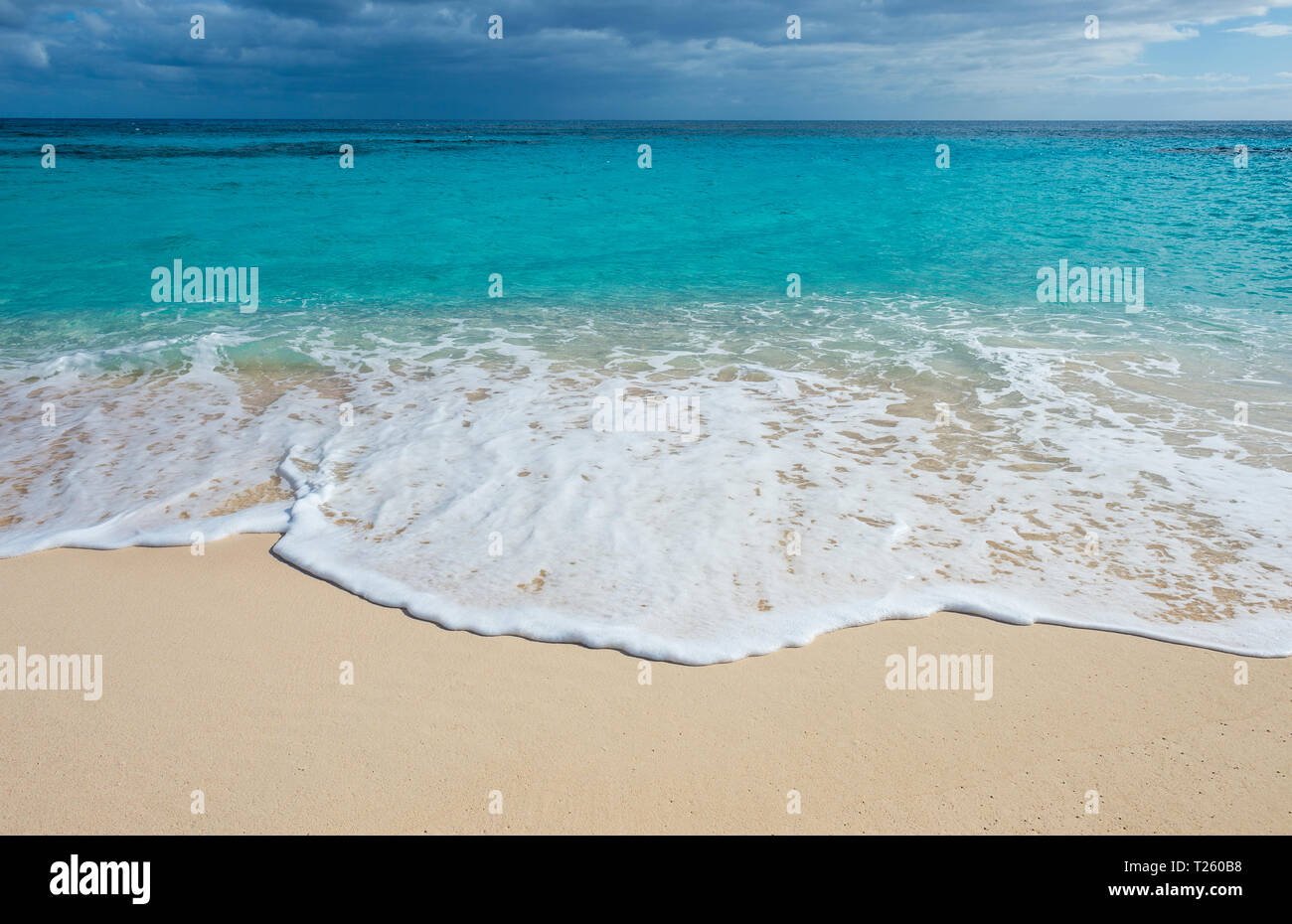 Jobson hi-res stock photography and images - Alamy