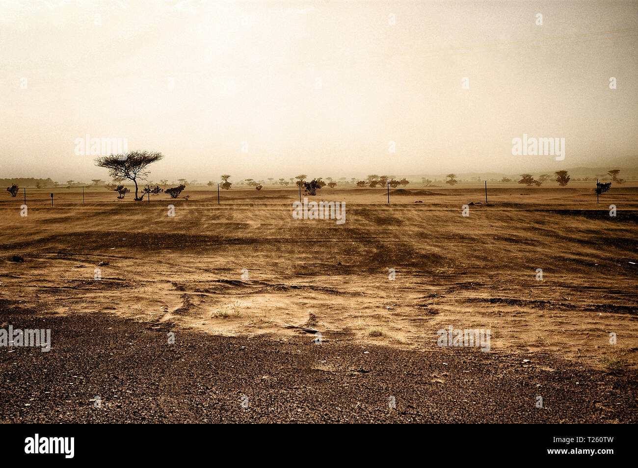 Wasteland and scenic daylight hi-res stock photography and images - Alamy