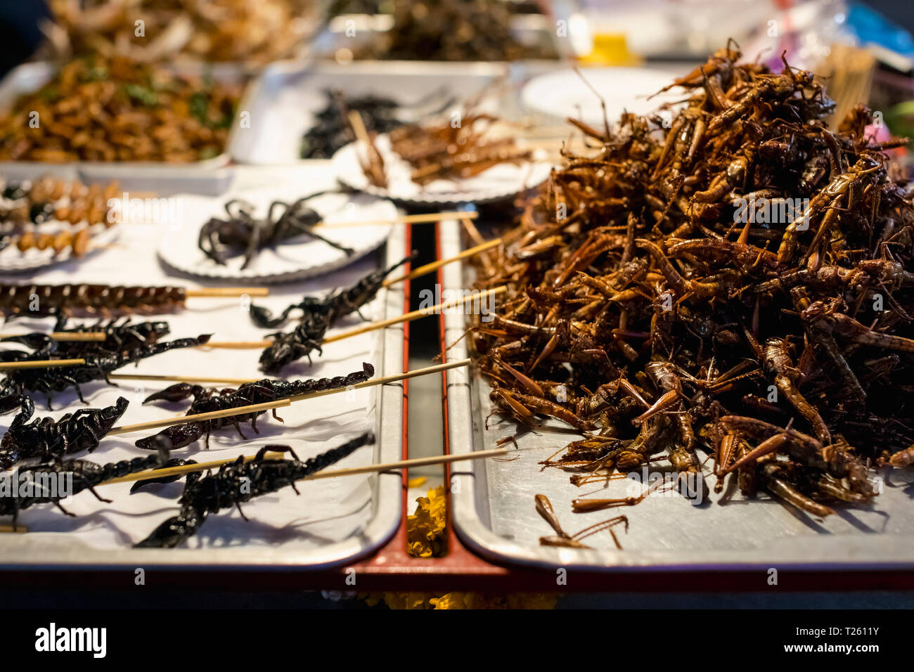 Thailand, Bangkok, insects for sale on a market Stock Photo - Alamy