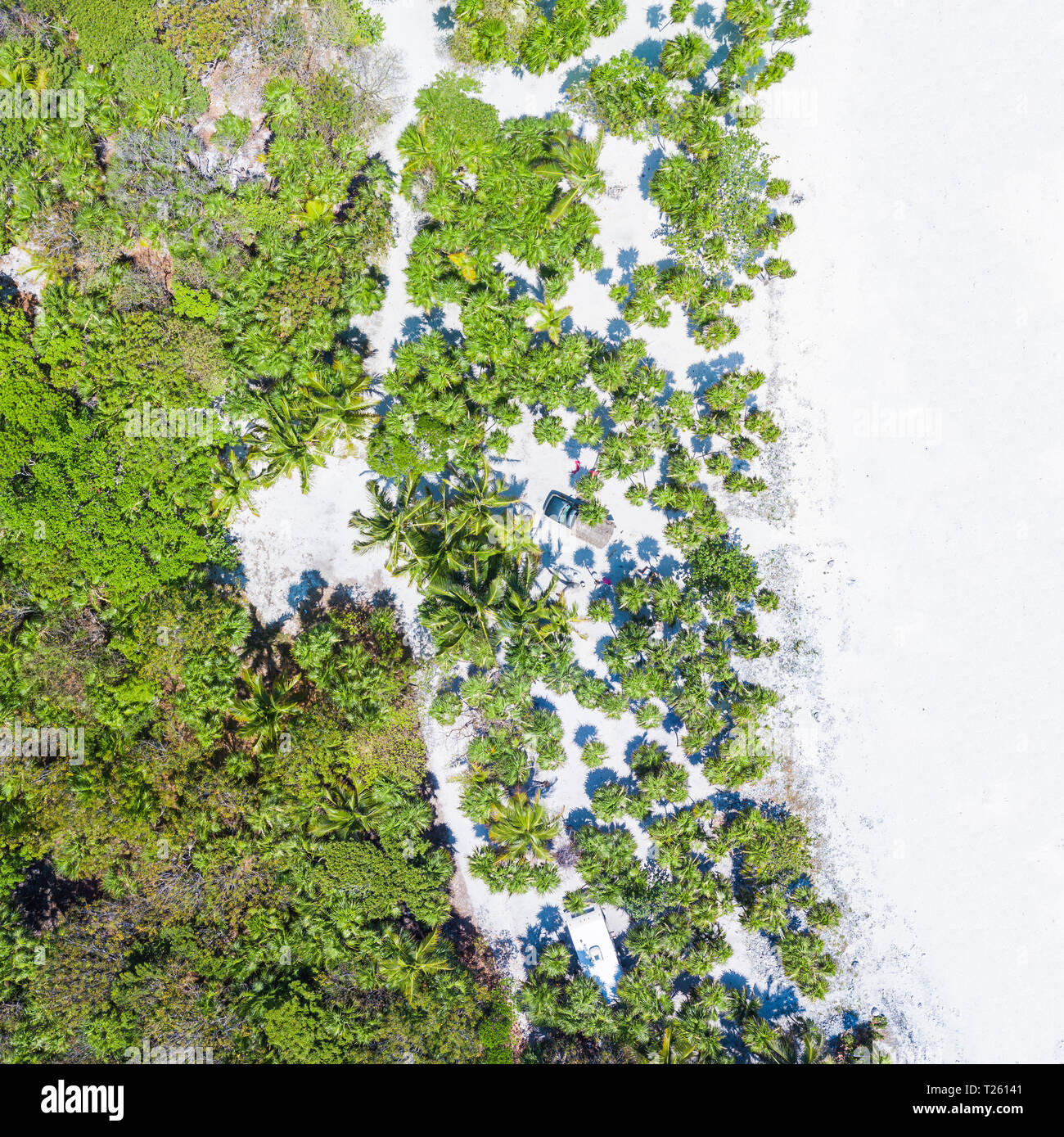 Drone beach palm trees hi-res stock photography and images - Alamy