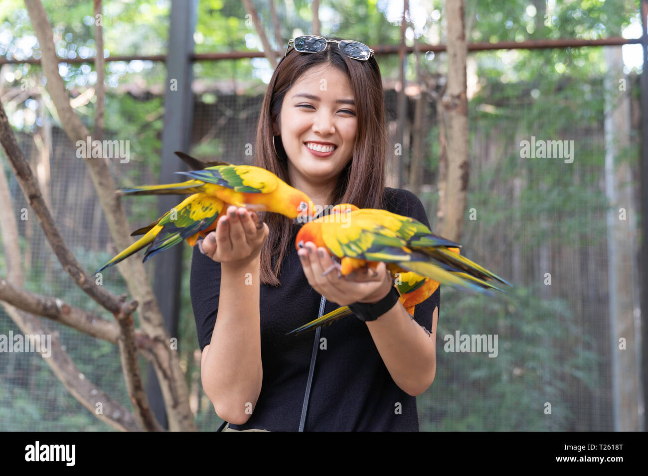 Asian beautiful woman enjoying with love bird on hand and body, in cage ...