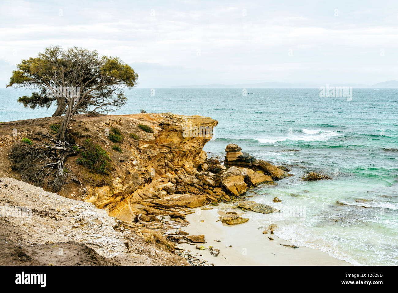 Tasmania maria island hi-res stock photography and images - Alamy