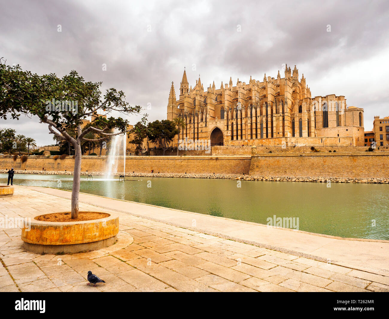 Cathedral Of St Mary Of Palma High Resolution Stock Photography and ...