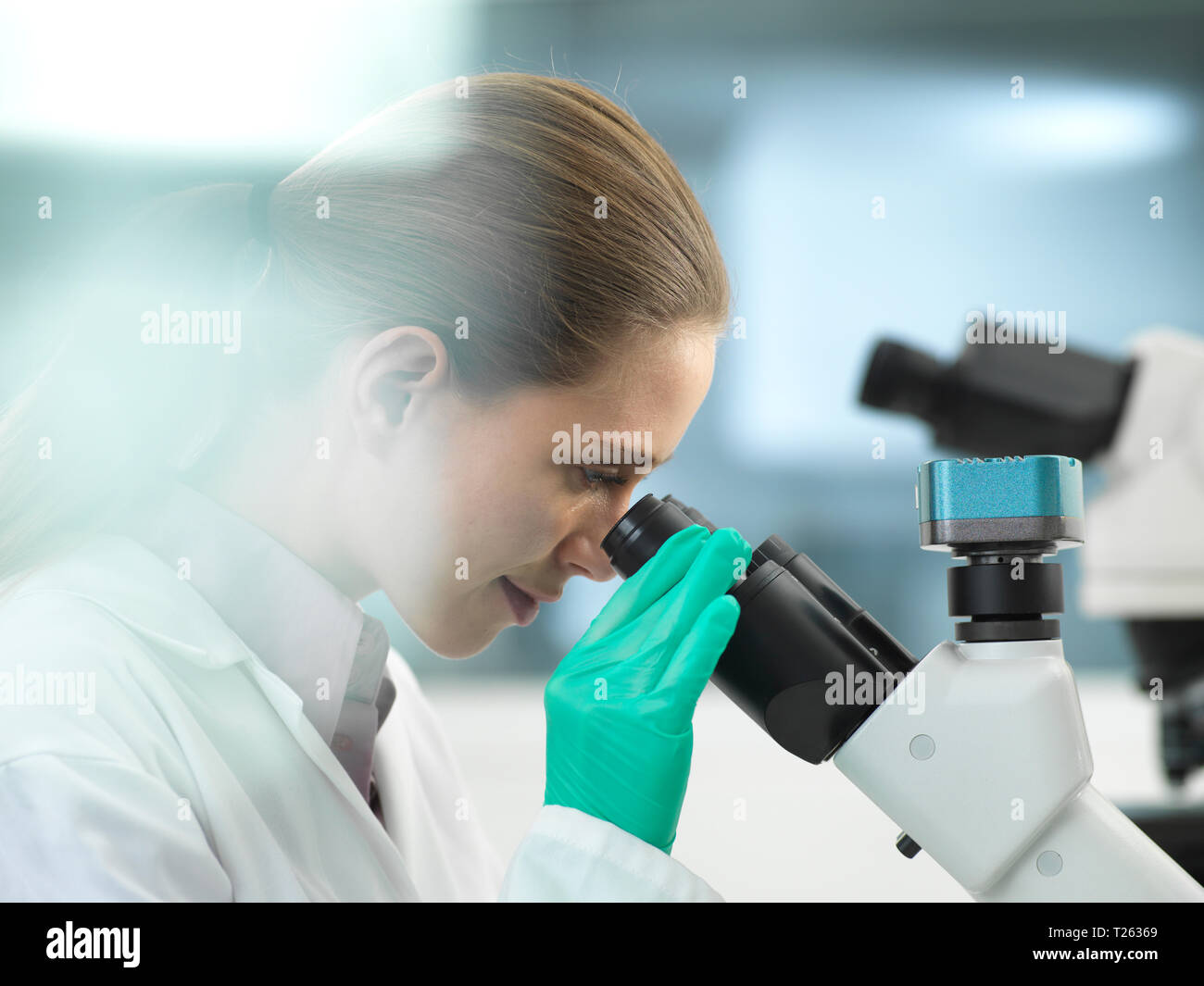 Sample viewing hi-res stock photography and images - Alamy