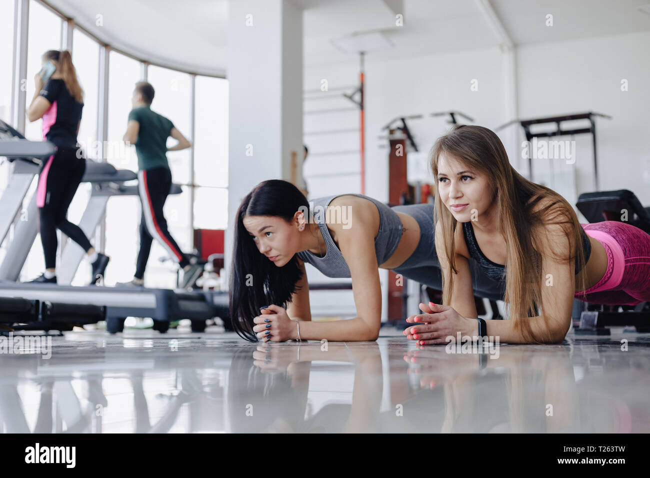 girls in the gym stand in plank, fitness life Stock Photo - Alamy