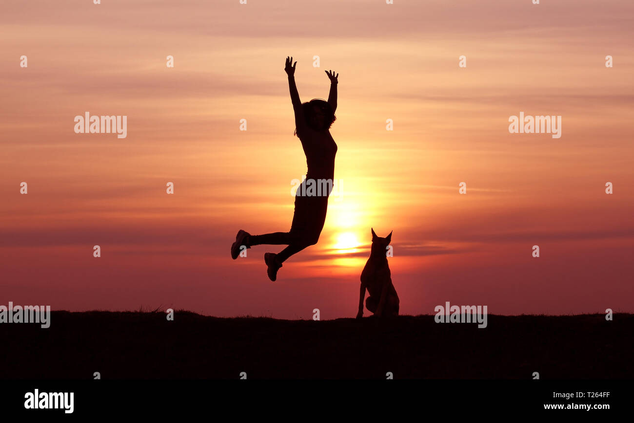 Silhouettes Girl and dog at sunset, Belgian Shepherd Malinois breed ...