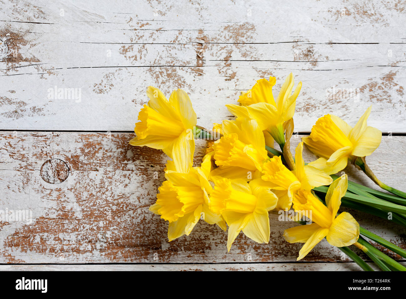 Bunch of daffodils hi-res stock photography and images - Alamy