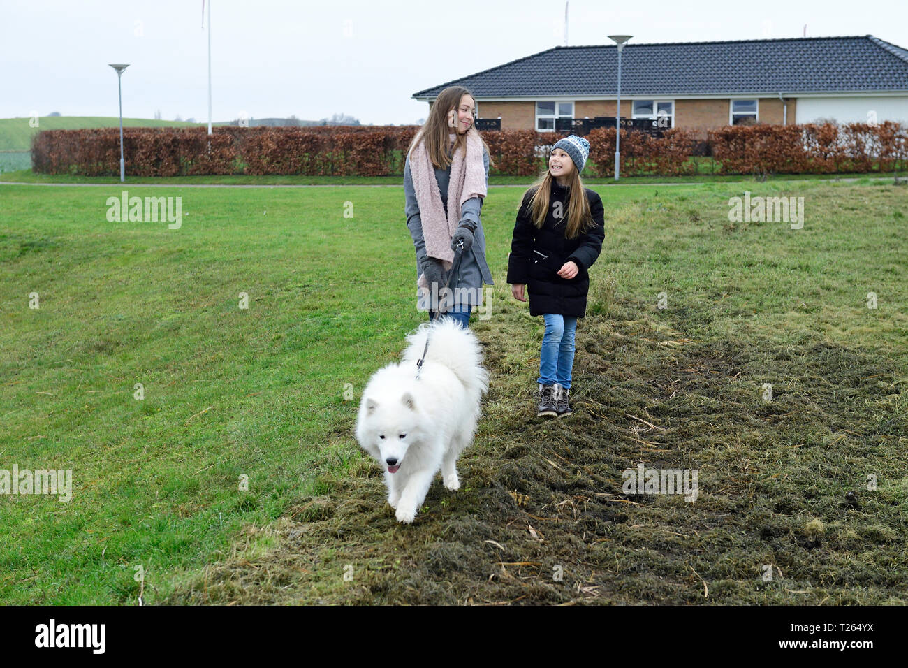 Two sisters strolling with dog Stock Photo - Alamy
