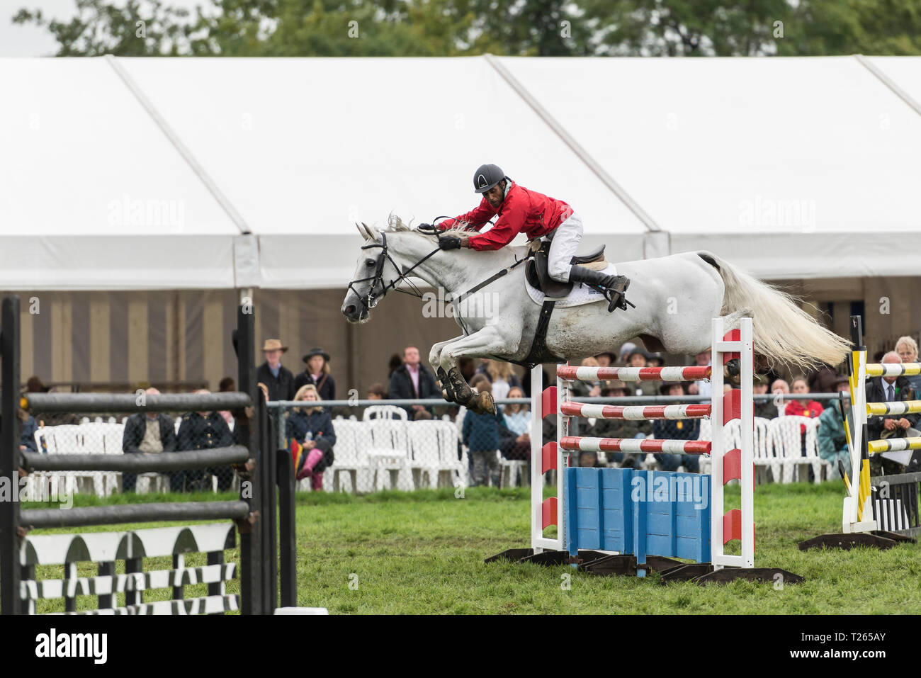 Rider Jumping Fence Showjumping Competition High Resolution Stock ...