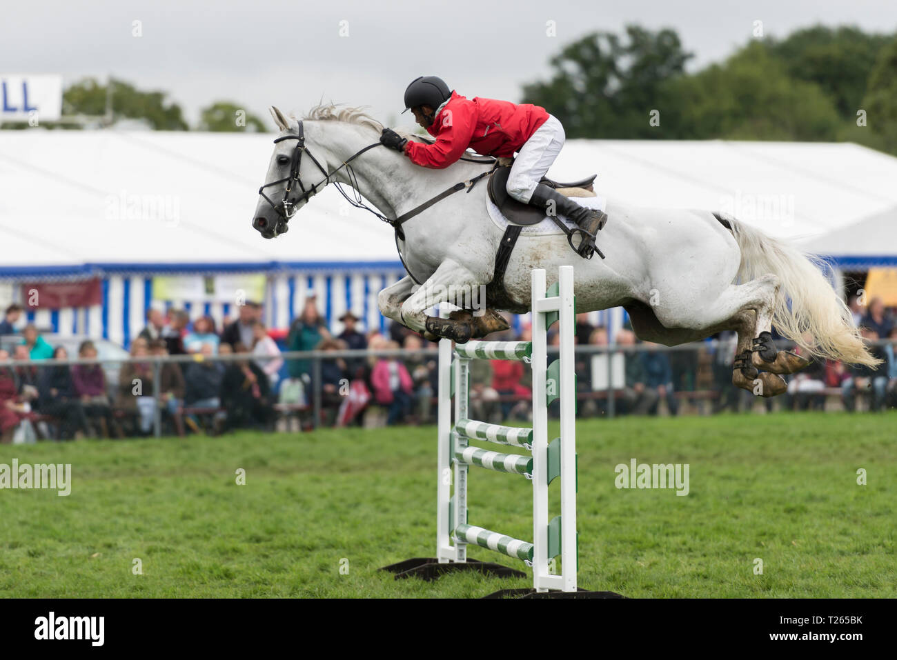 Rider Jumping Fence Showjumping Competition High Resolution Stock ...
