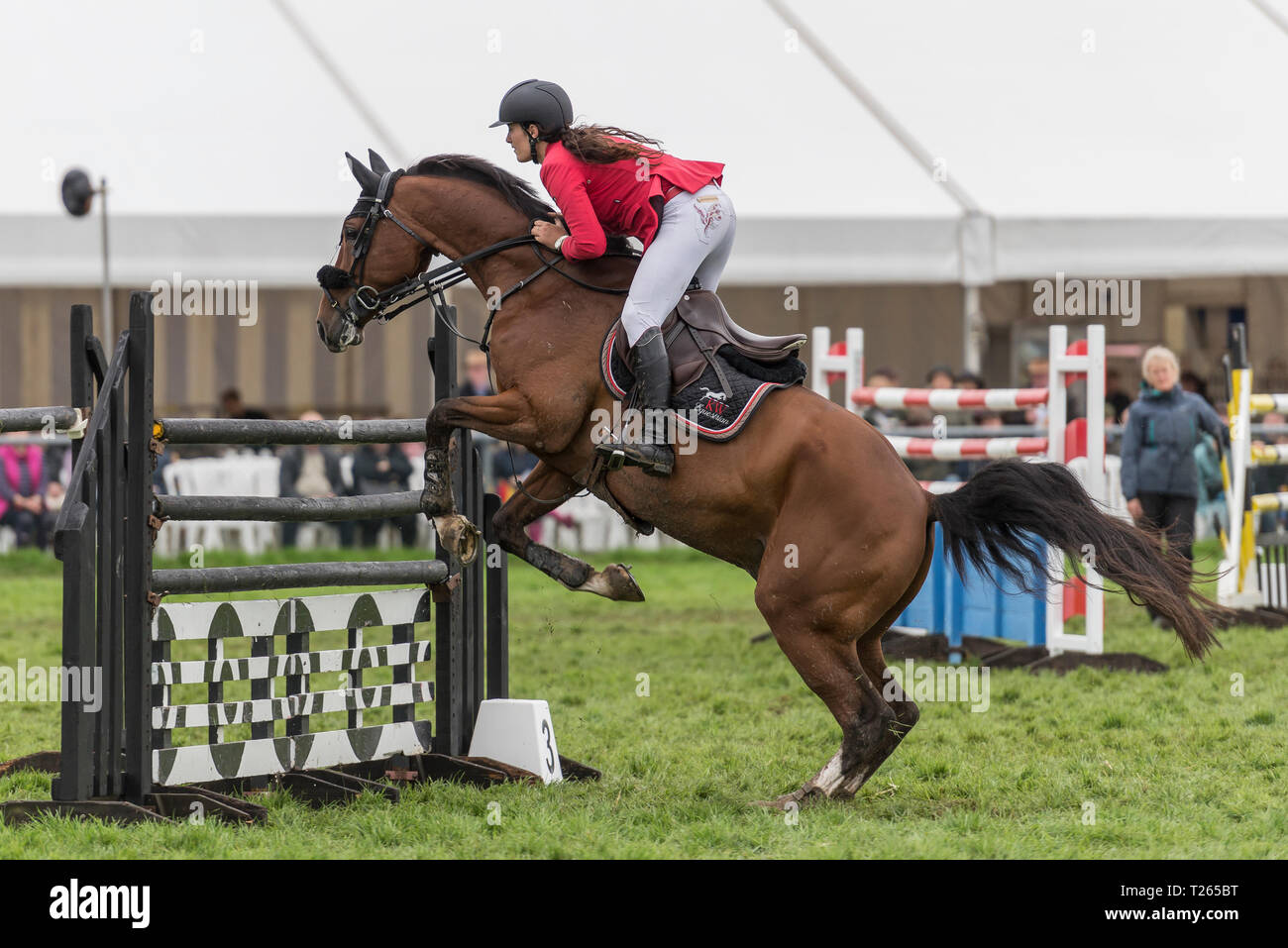 Show Jumping Edenbridge and Oxted Show Stock Photo - Alamy