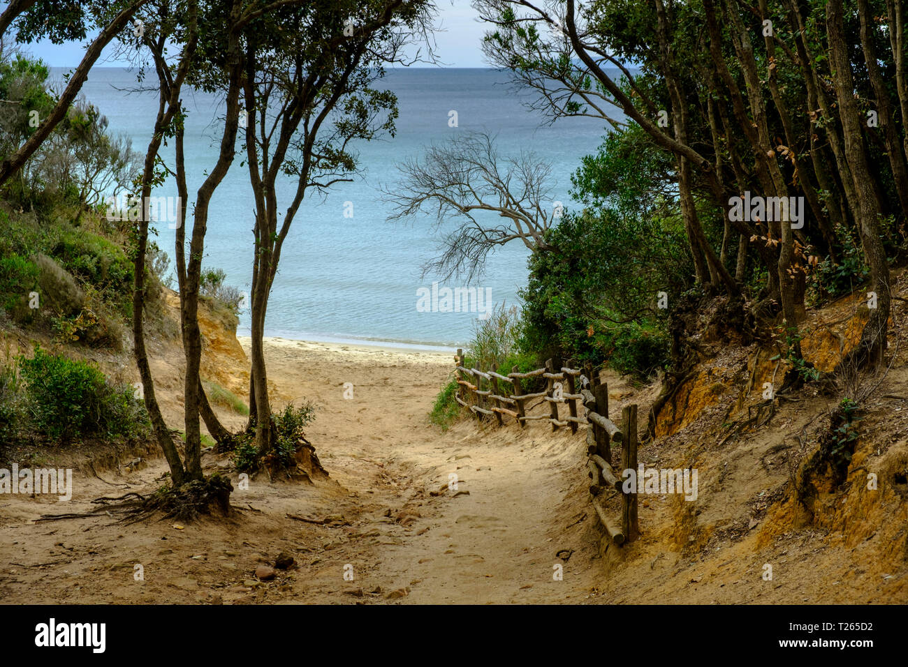 Italy, Tuscany, Castiglione della Pescaia, Punta Ala, way to the beach ...