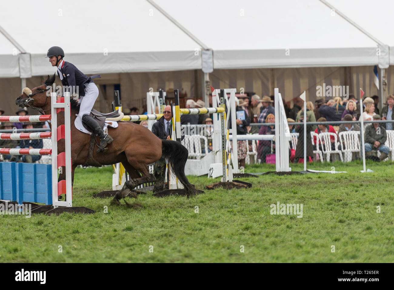 Show Jumping Edenbridge and Oxted Show Stock Photo - Alamy