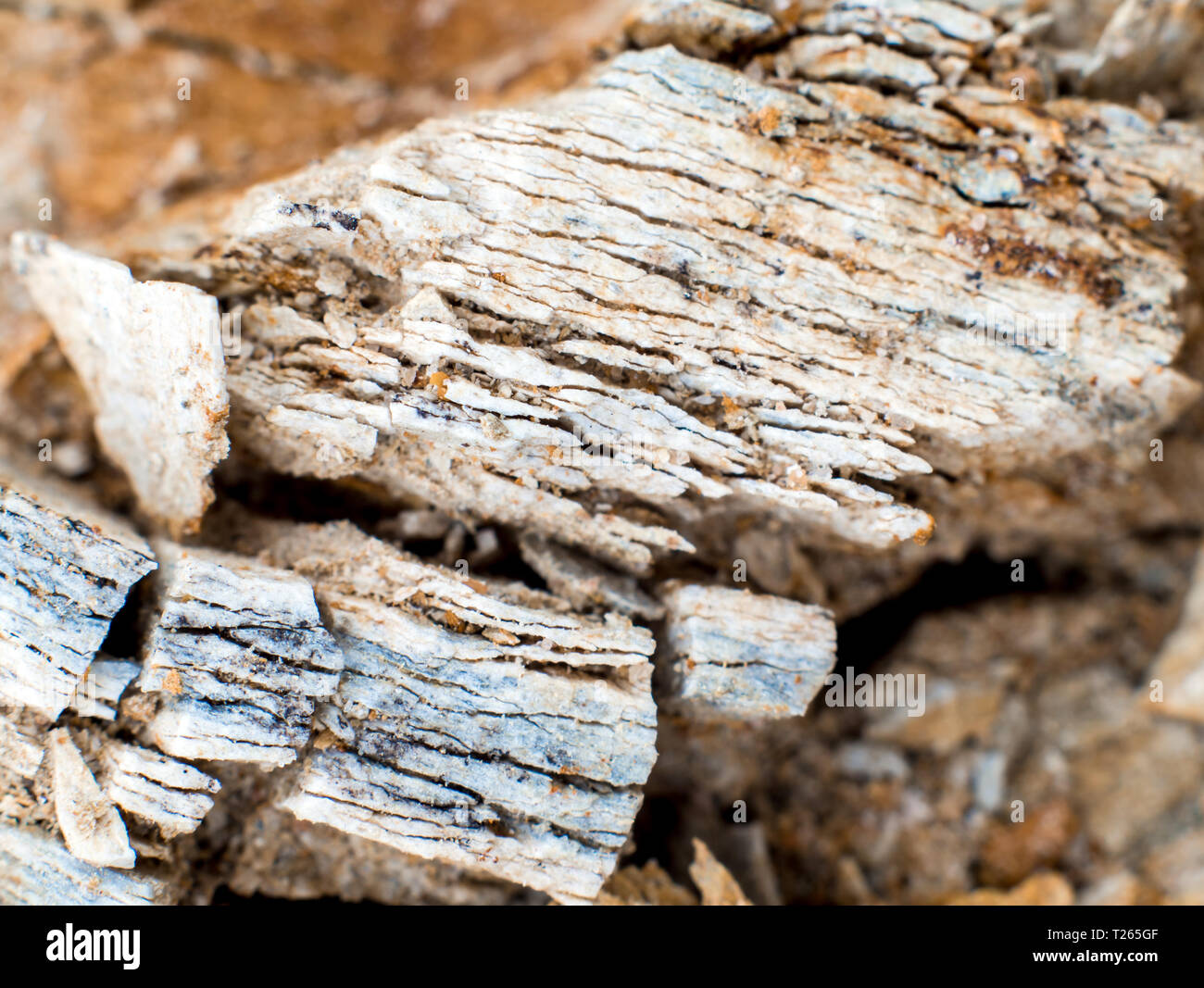 Texture of stone and soil on rocky mountain soil Stock Photo - Alamy