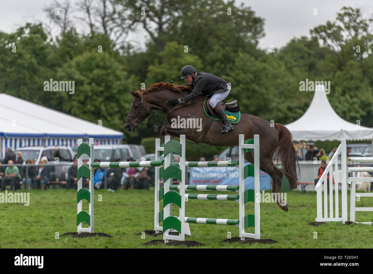 Show Jumping Edenbridge and Oxted Show Stock Photo - Alamy