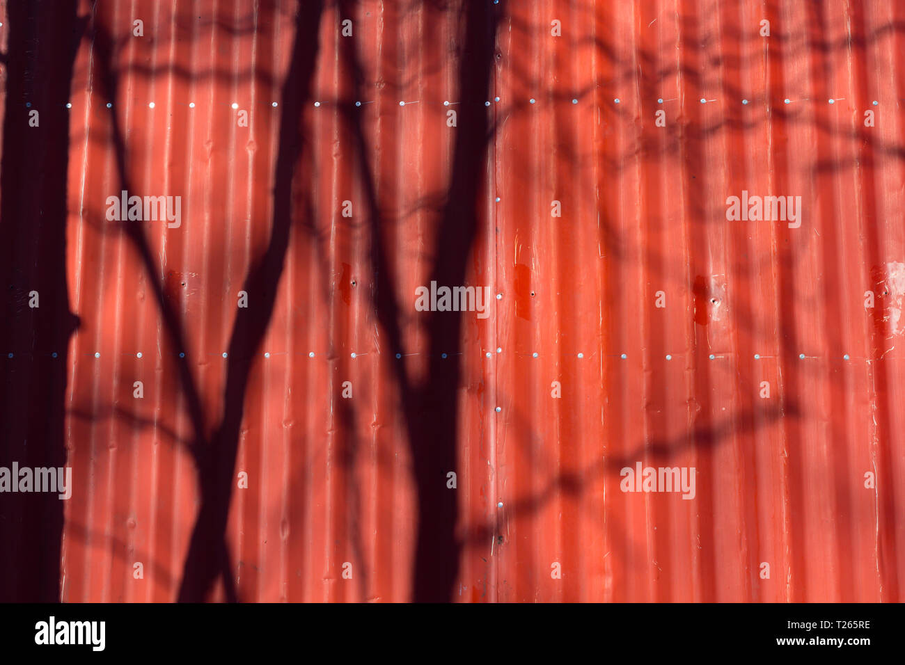 Red metal tile texture. The texture is red. Red wall Stock Photo - Alamy