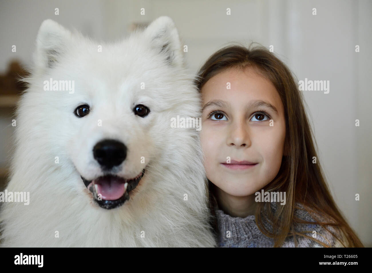 Girl white dog hi-res stock photography and images - Alamy
