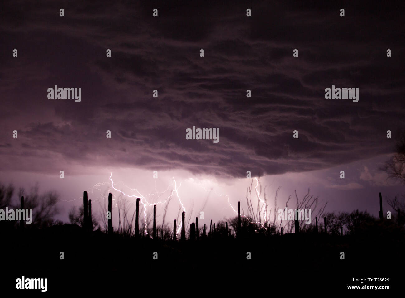 Three points arizona hi-res stock photography and images - Alamy