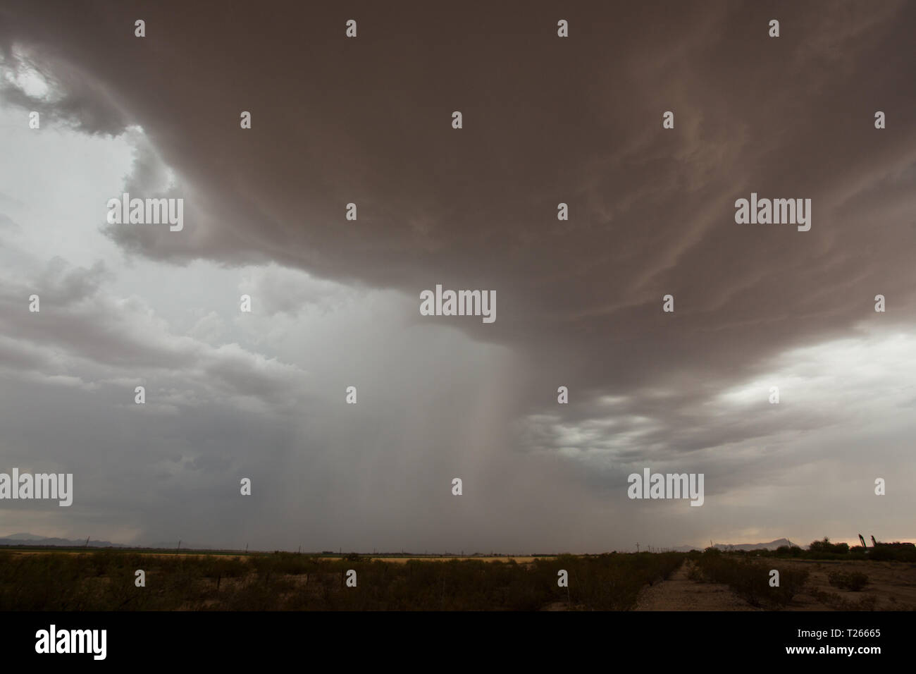 Red Rock, Pinal County, Arizona, USA Stock Photo - Alamy