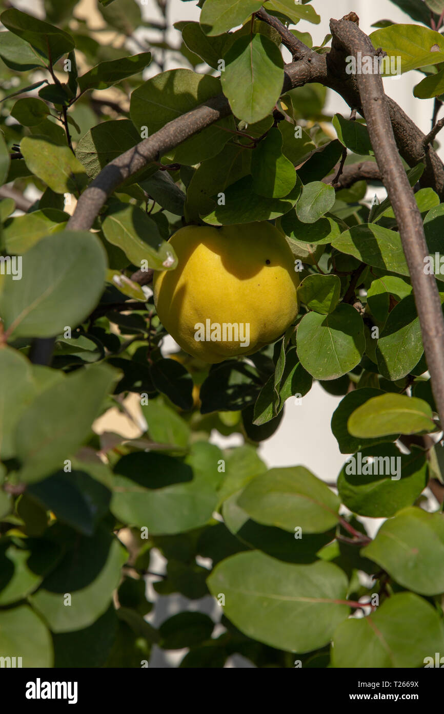State Milotice Castle, pearl of South Moravia, is a uniquely preserved ...