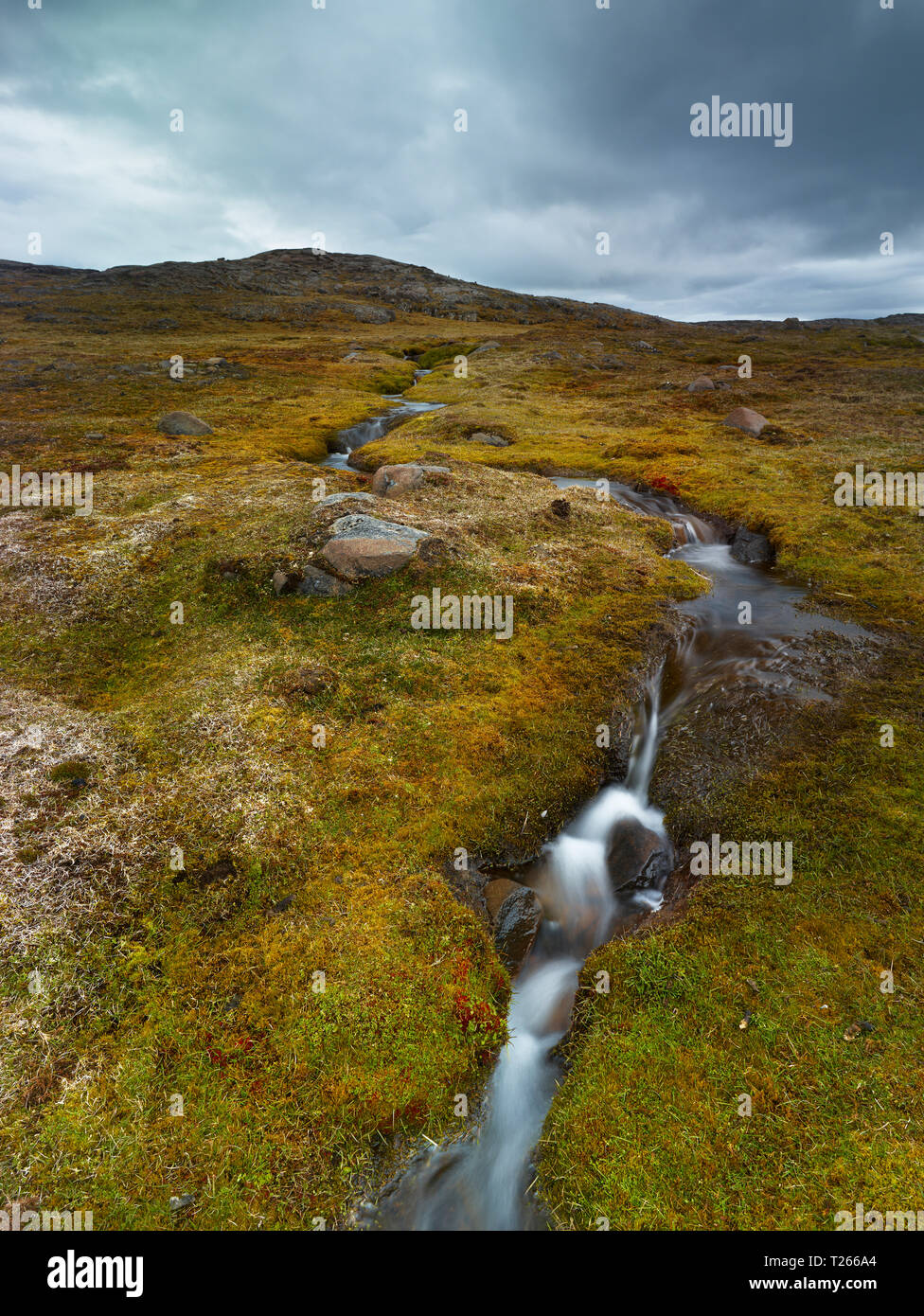 Small brook hi-res stock photography and images - Alamy