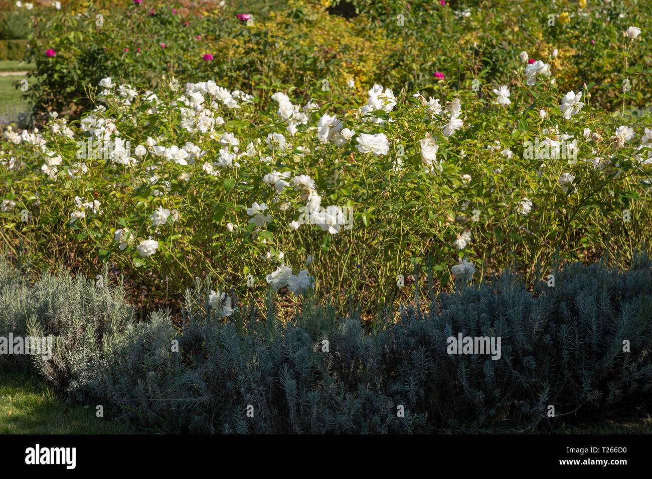 State Milotice Castle, pearl of South Moravia, is a uniquely preserved ...