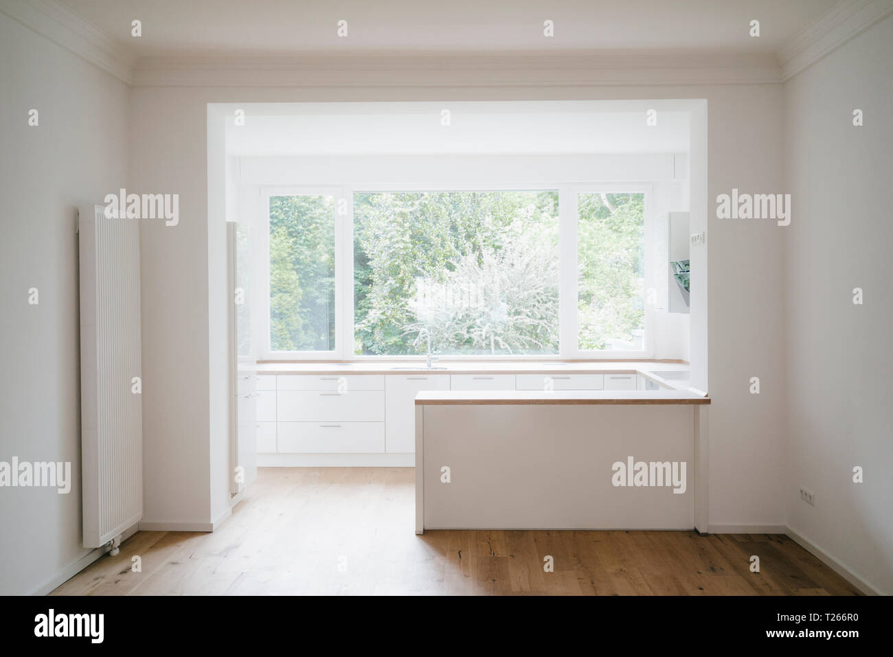 Empty kitchen hi-res stock photography and images - Alamy
