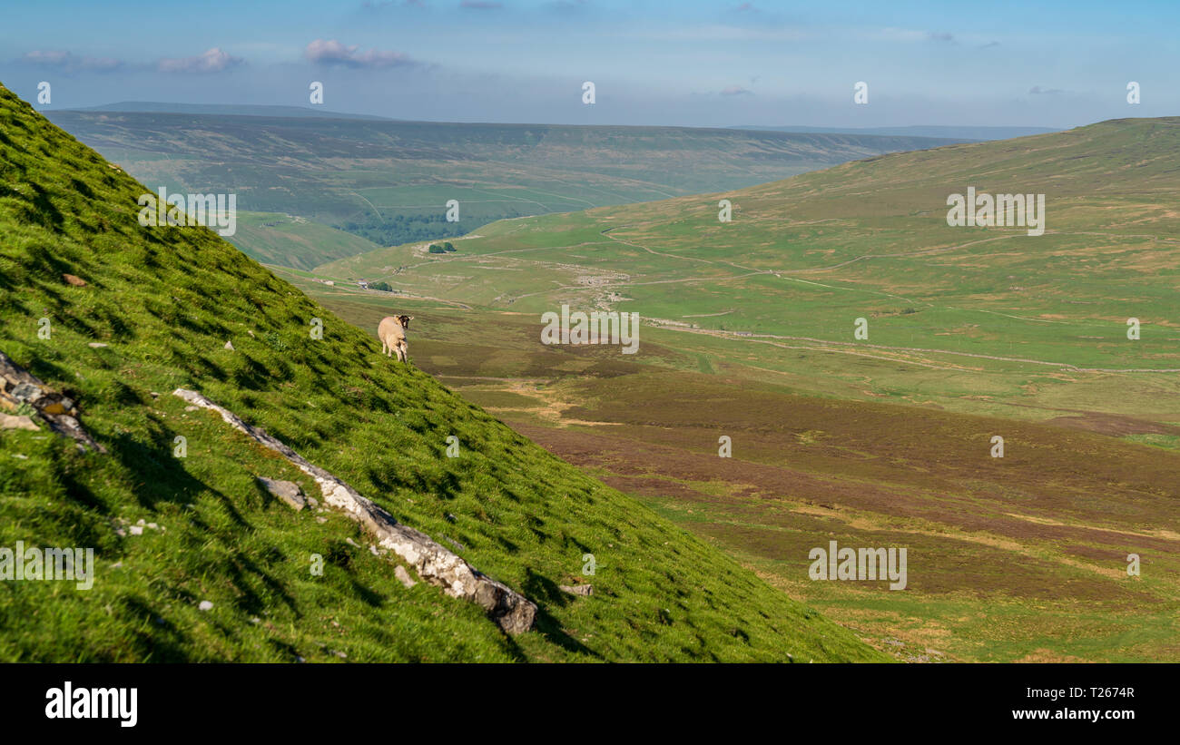 View over the Yorkshire Dales landscape from the Pen-Y-Ghent between ...