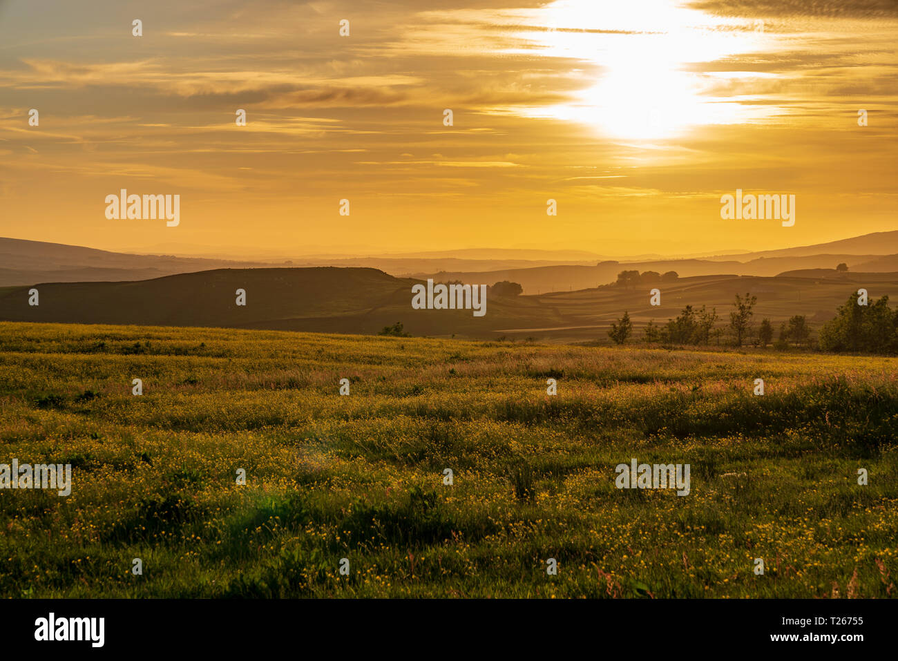 Settle dust hi-res stock photography and images - Alamy