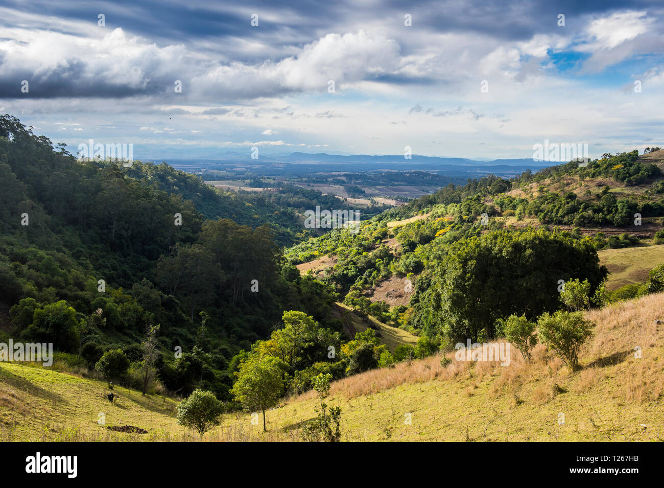 Hunter valley region hi-res stock photography and images - Alamy