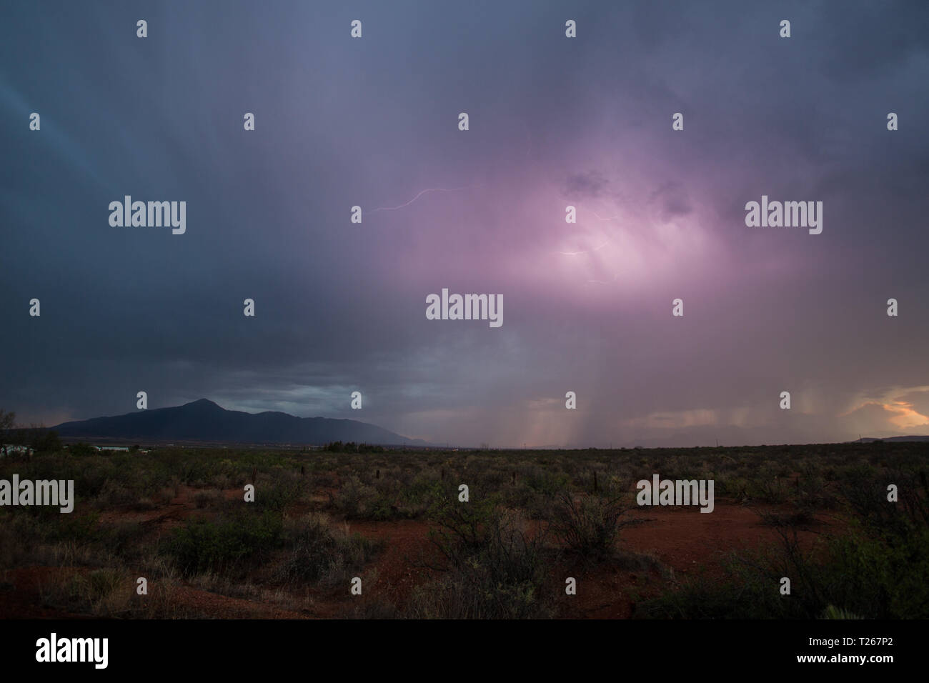 Naco arizona hi-res stock photography and images - Alamy