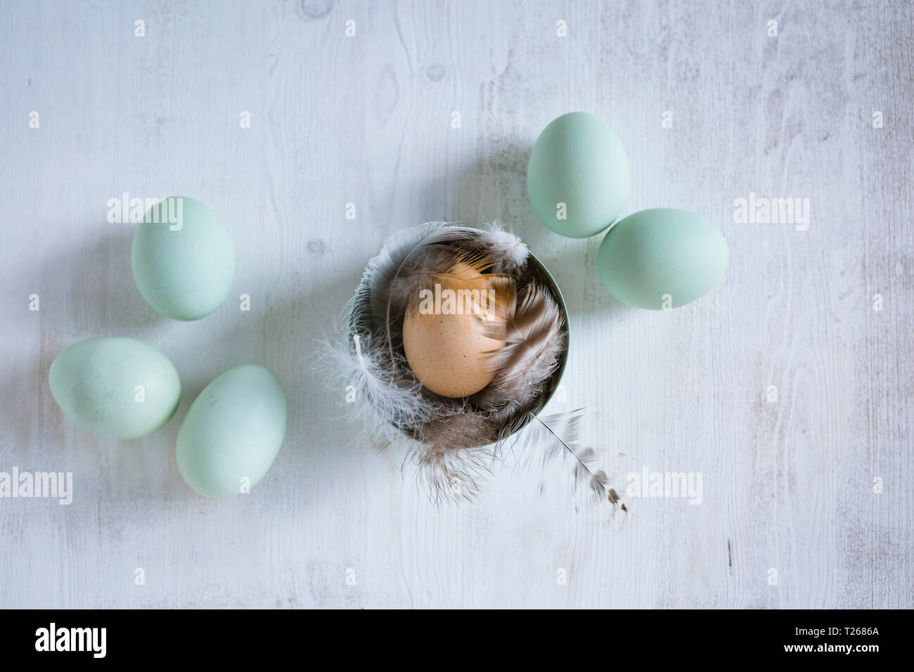Still life with feathers hi-res stock photography and images - Alamy