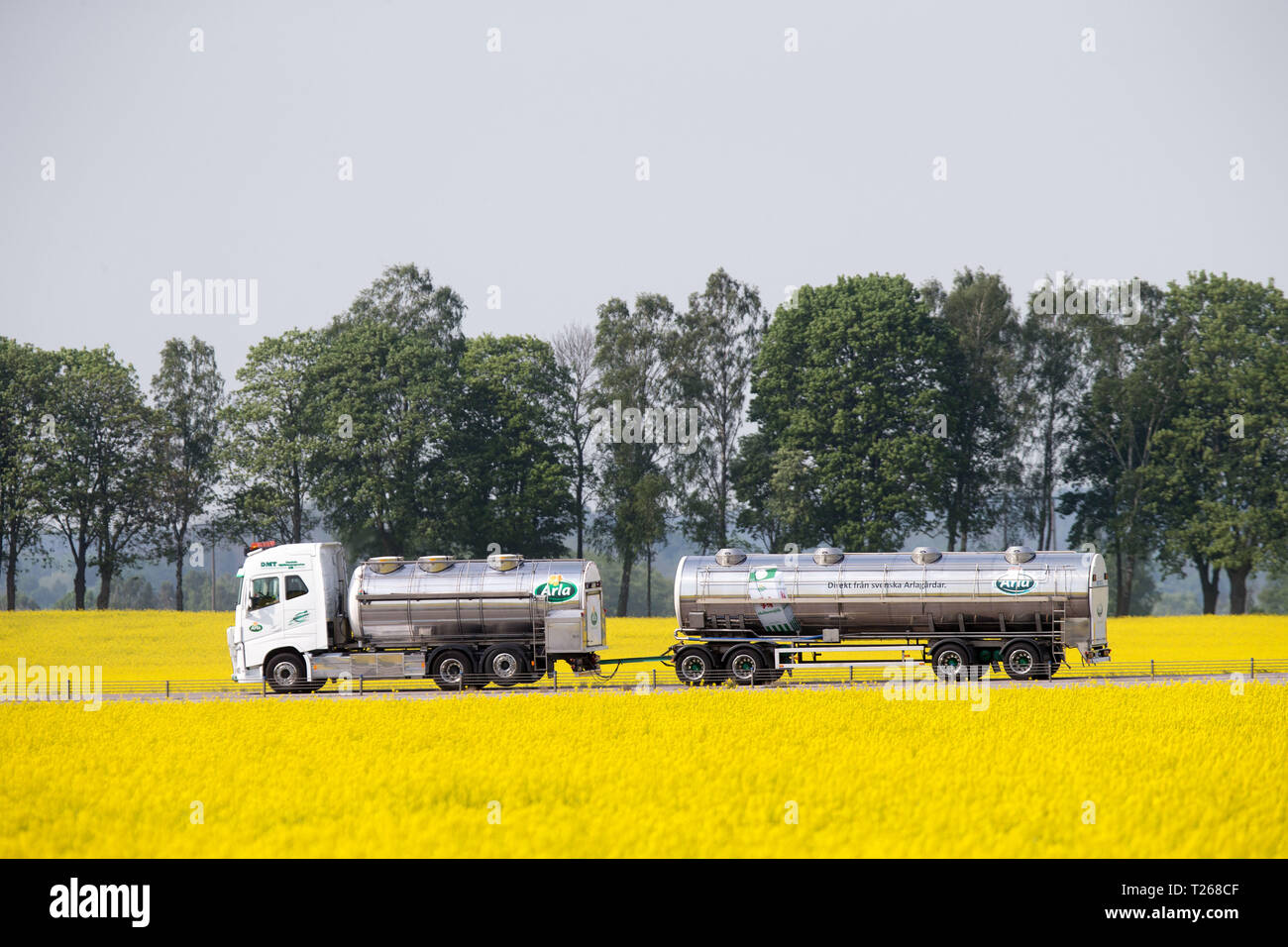 Milk car from Arla. Photo Jeppe Gustafsson Stock Photo - Alamy