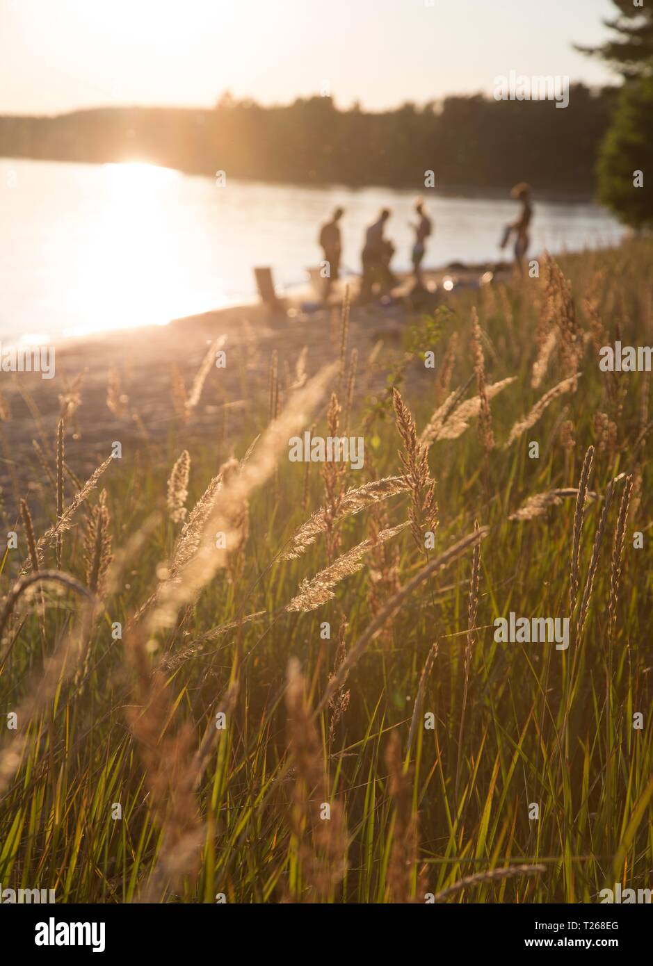 Beach life at lake Vättern, Motala. Photo Jeppe Gustafsson Stock Photo ...