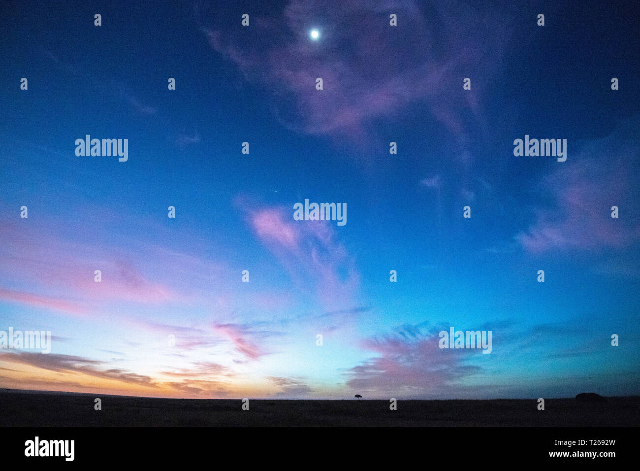 Moon rise africa hi-res stock photography and images - Alamy