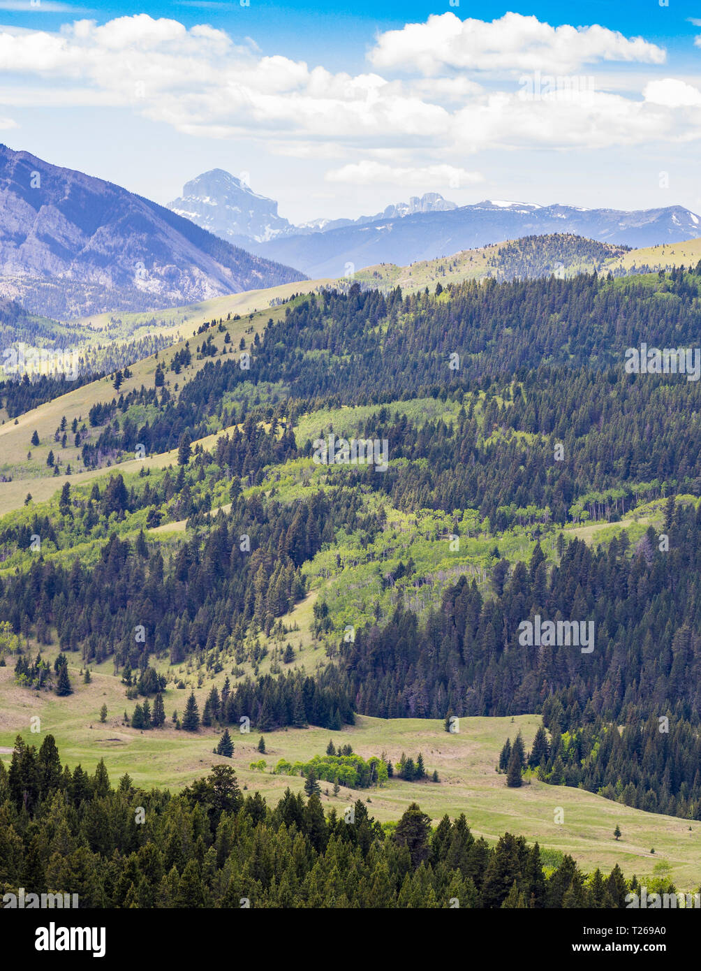 Wildland provincial park hi-res stock photography and images - Alamy