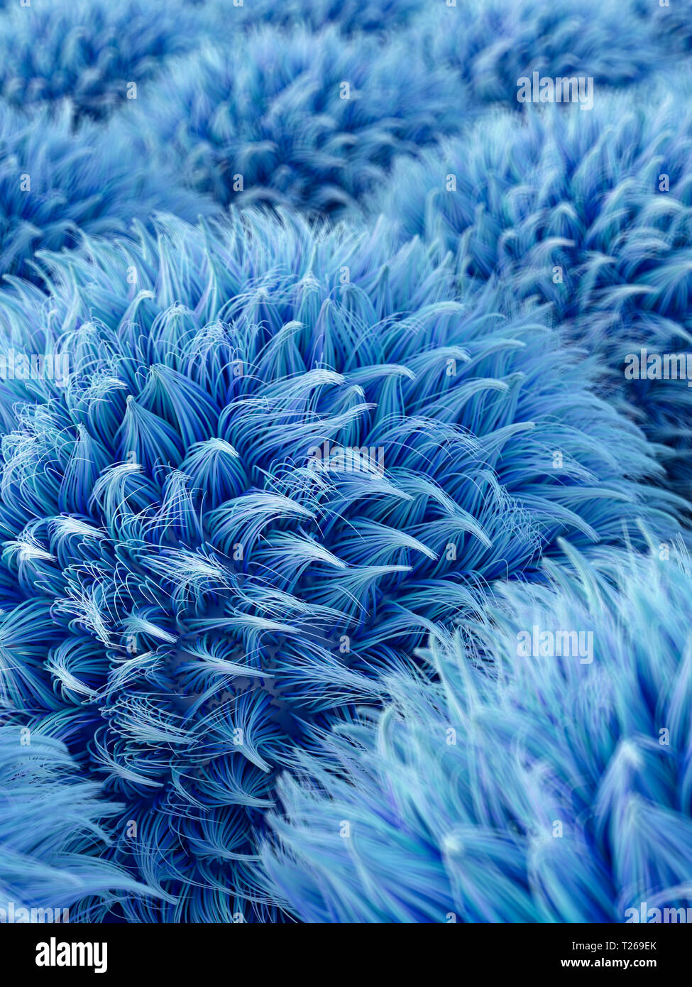 Fluffy blue spheres hi-res stock photography and images - Alamy