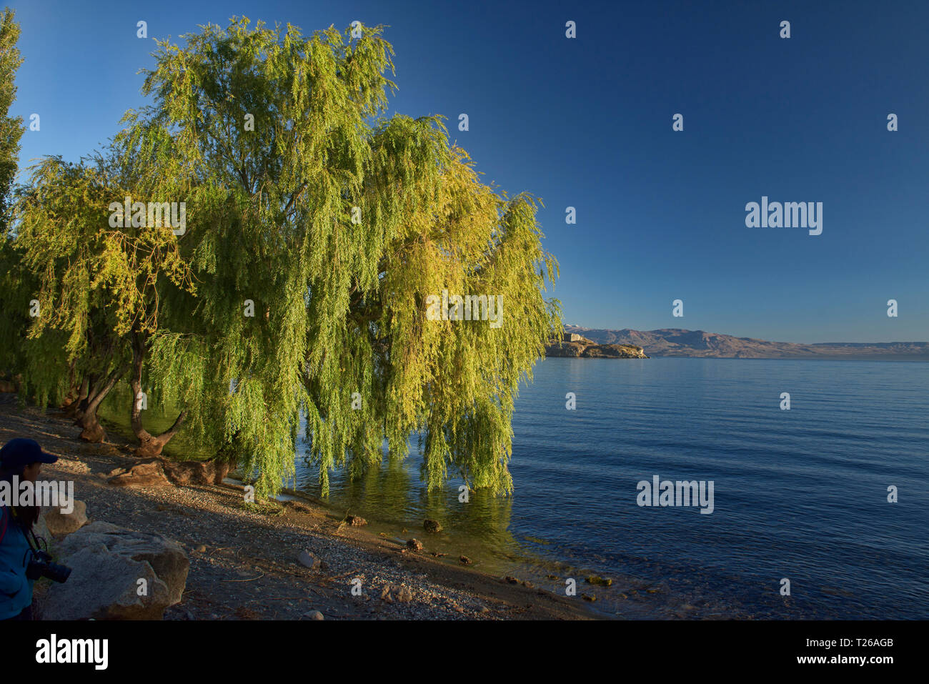 Chico Fall Autumn High Resolution Stock Photography and Images - Alamy