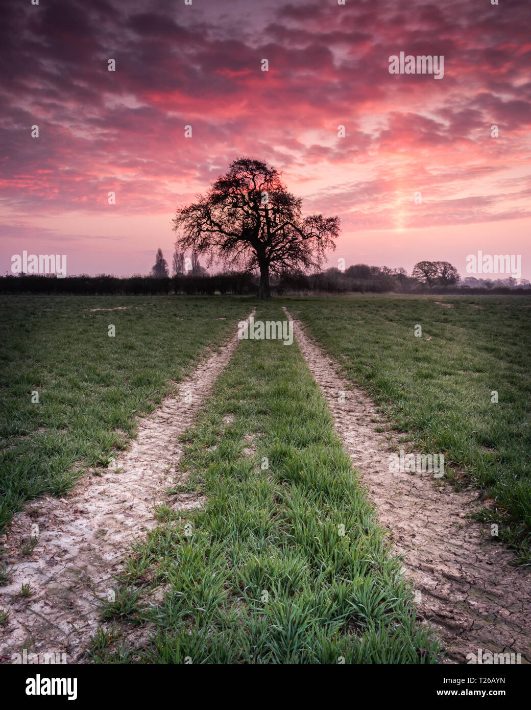 Tractor tracks leading into field hi-res stock photography and images ...