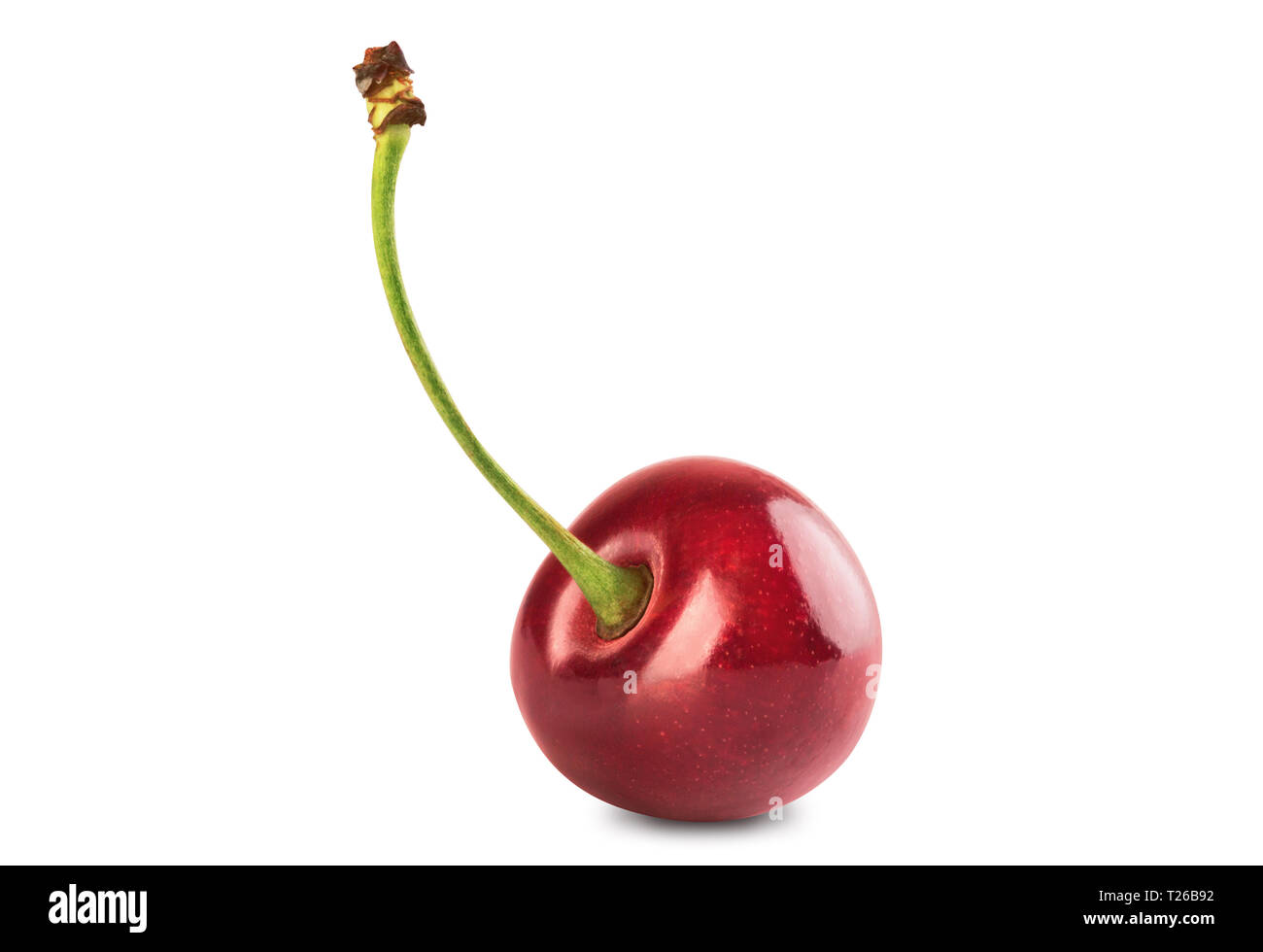 Single ripe cherry isolated on white background Stock Photo - Alamy
