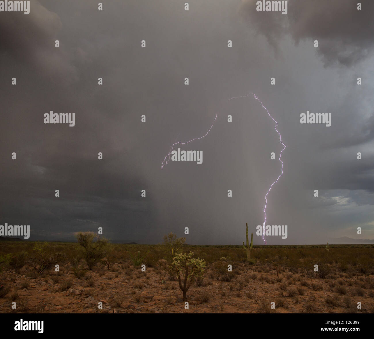 , Pima County, Arizona, USA Stock Photo - Alamy